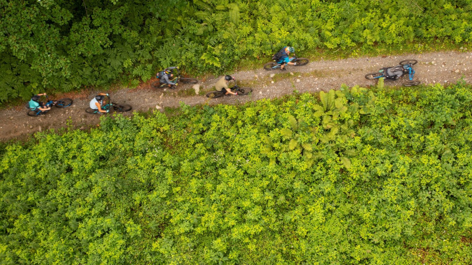 New to Athens Vermont: the Raymond Bemis Community Forest
