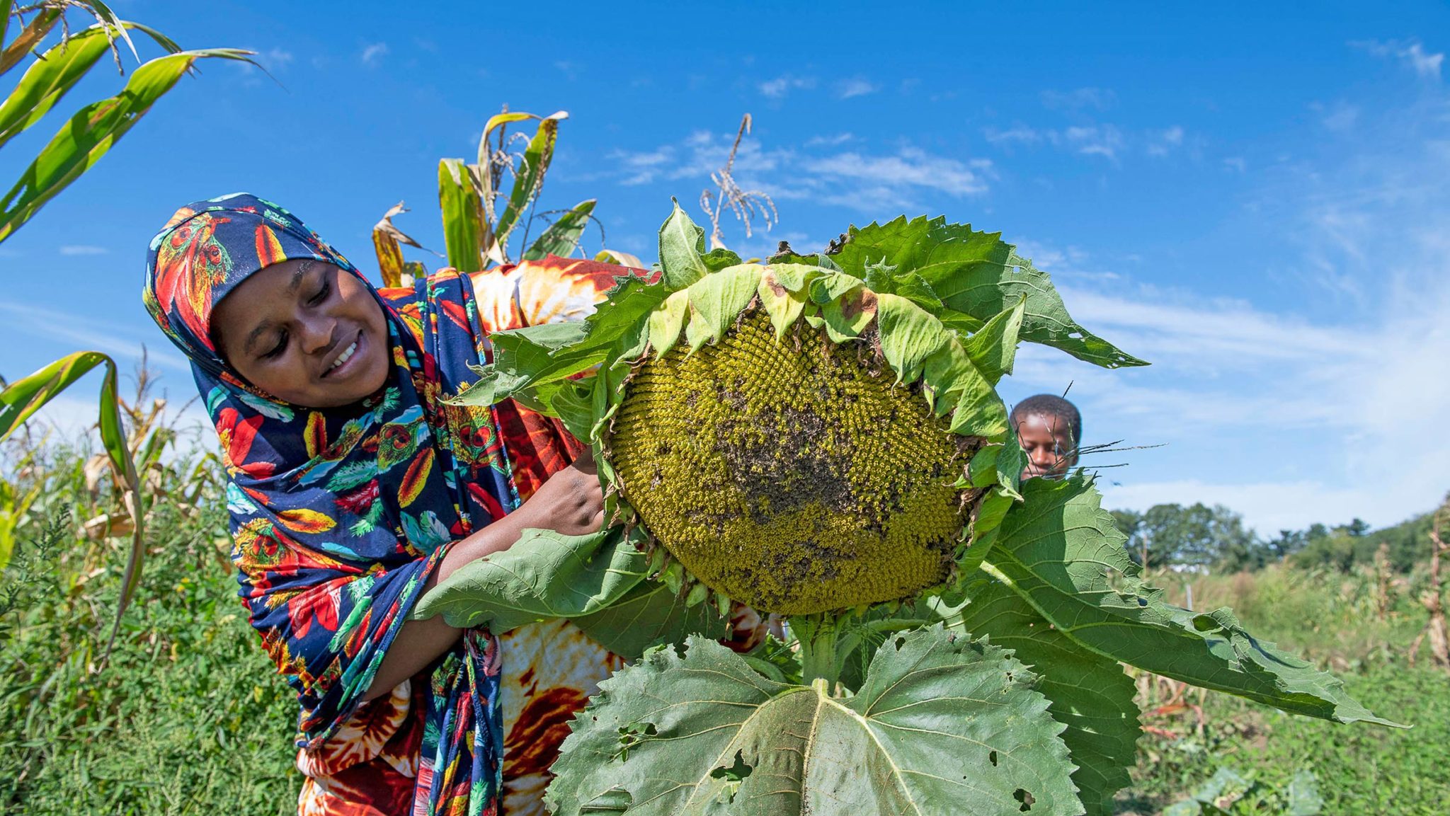 Champlain Orchards: Local food, conservation & farm affordability