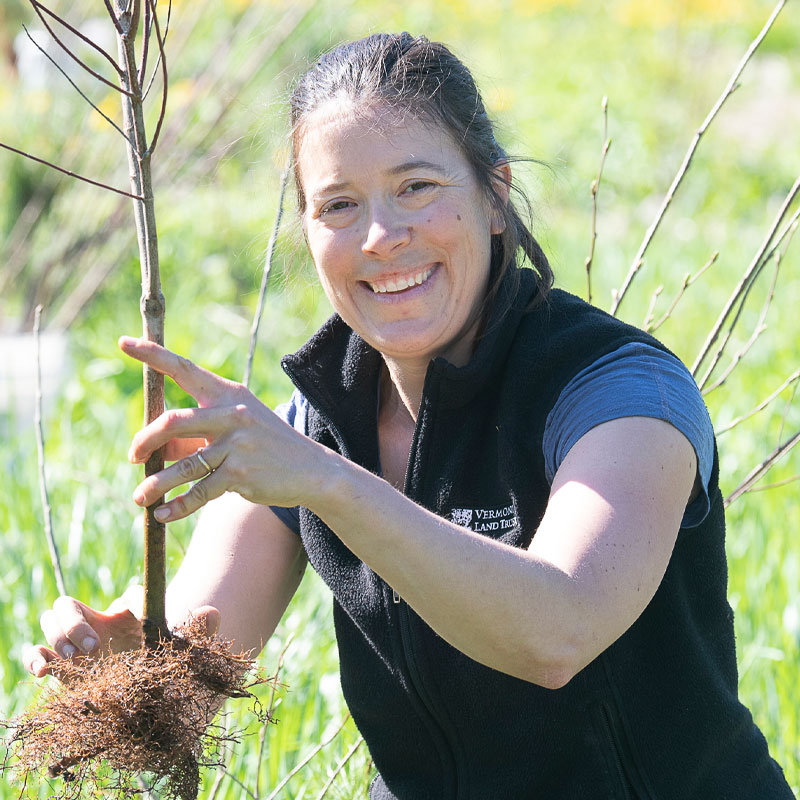 Our Team - Vermont Land Trust