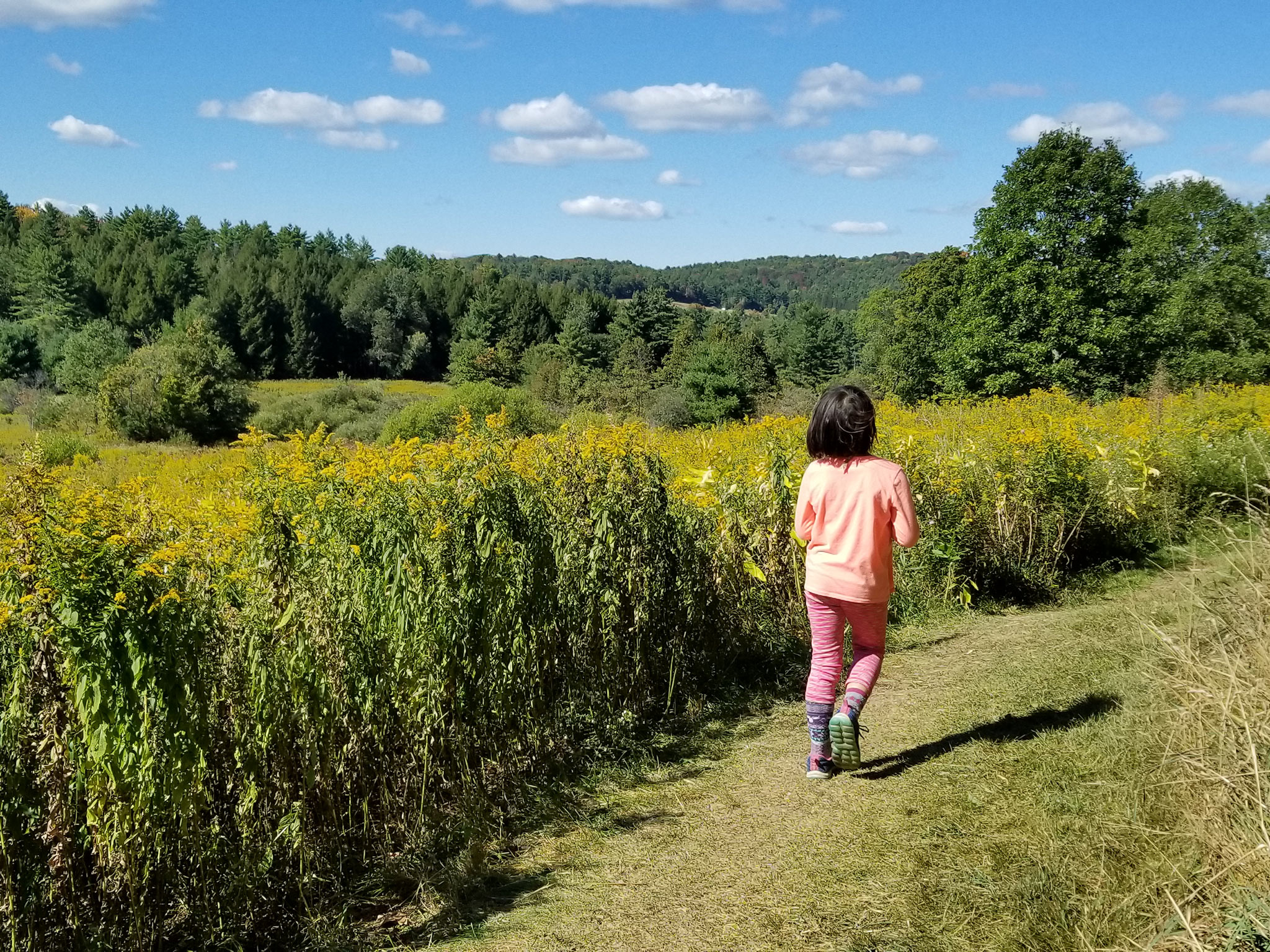 Mobbs Farm, popular rec area, protected - Vermont Land Trust