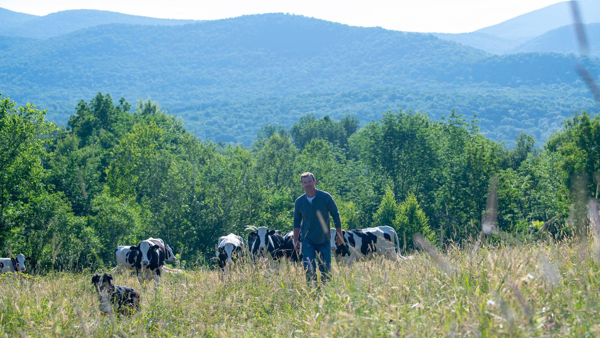 Monument Farms: Fourth-generation Vermont Dairy in Weybridge