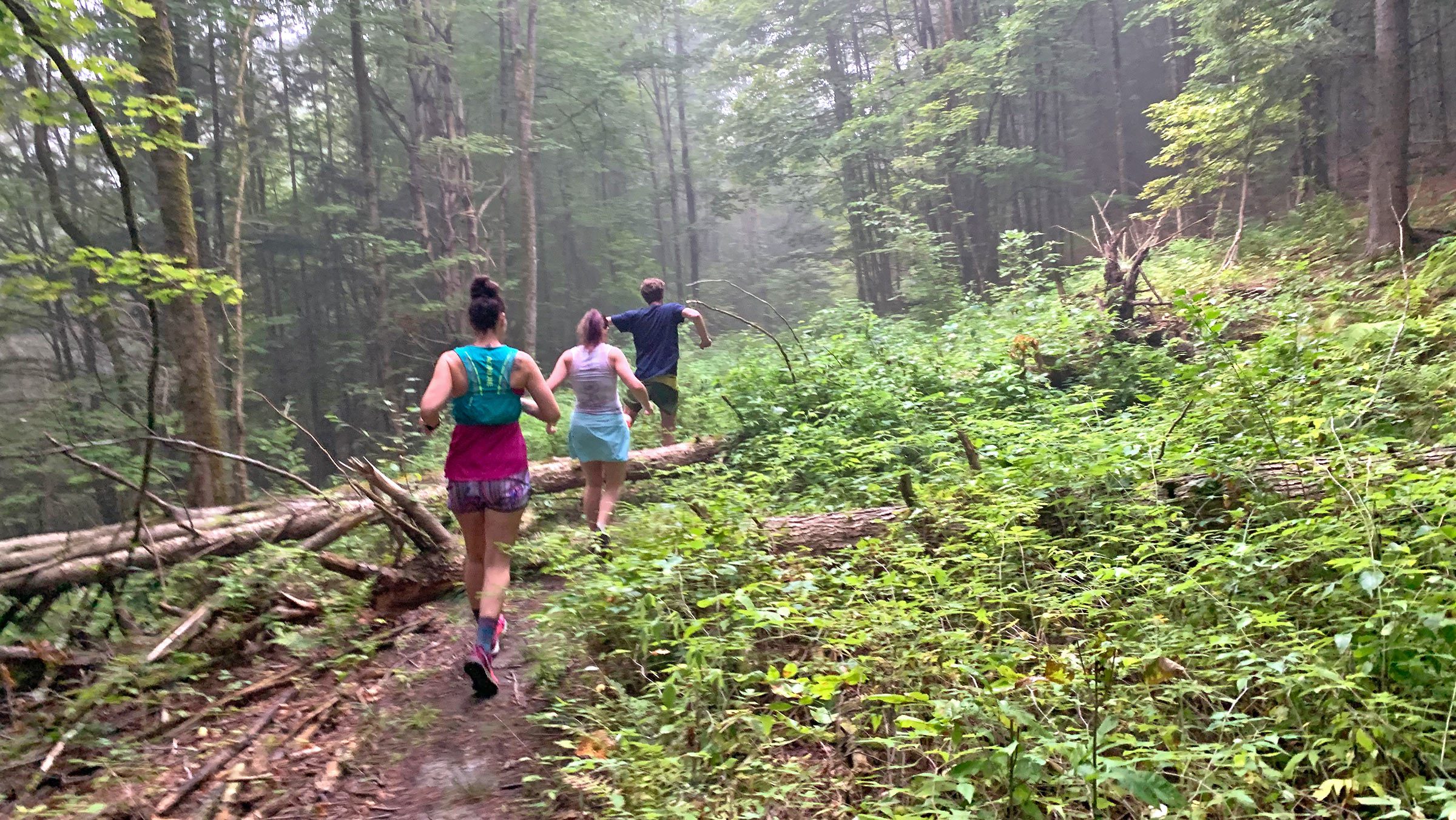 East Montpelier Trails - Vermont Land Trust