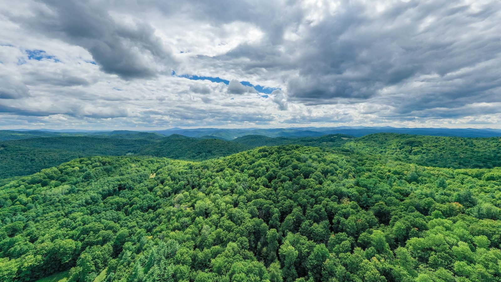 Barre Town Forest - Vermont Land Trust