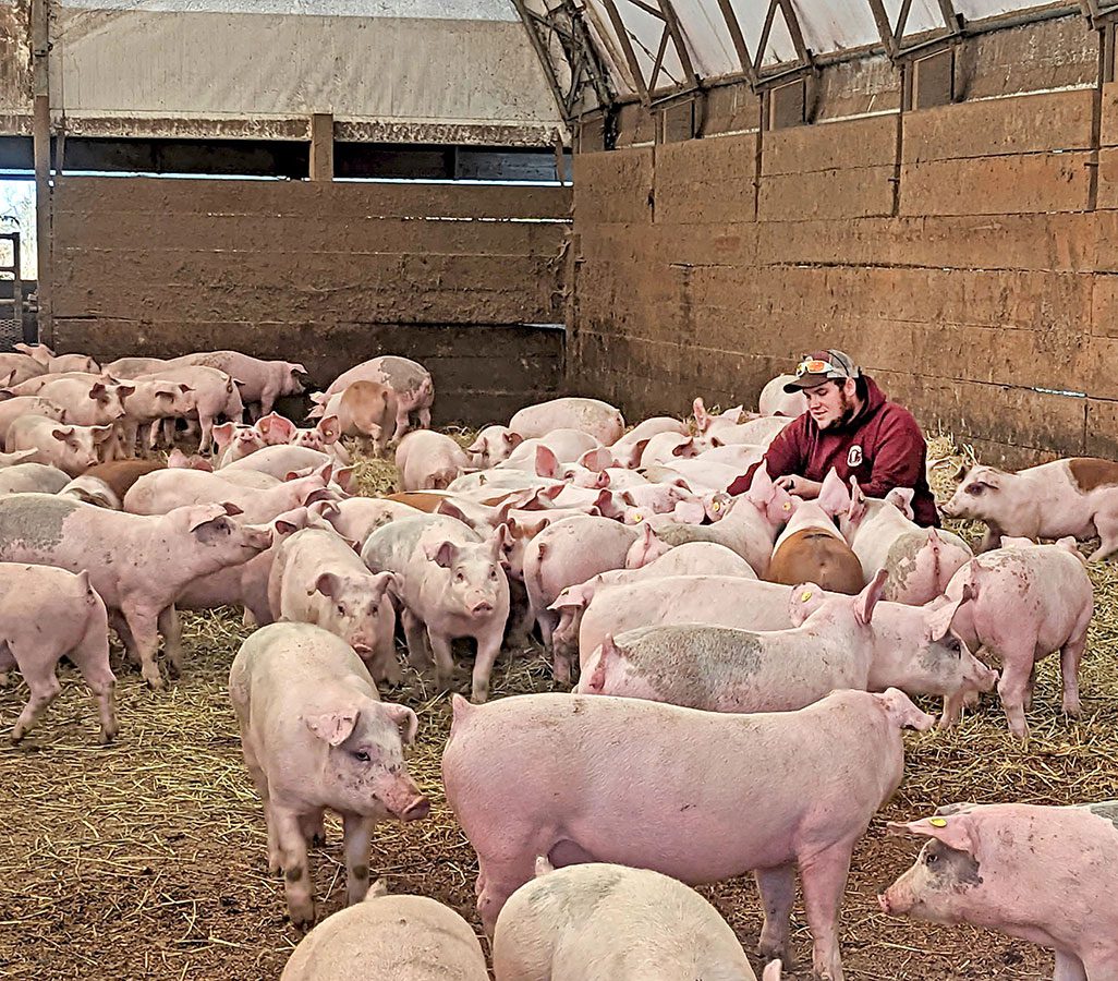 Forging ahead at Champlain Valley Farm - Vermont Land Trust