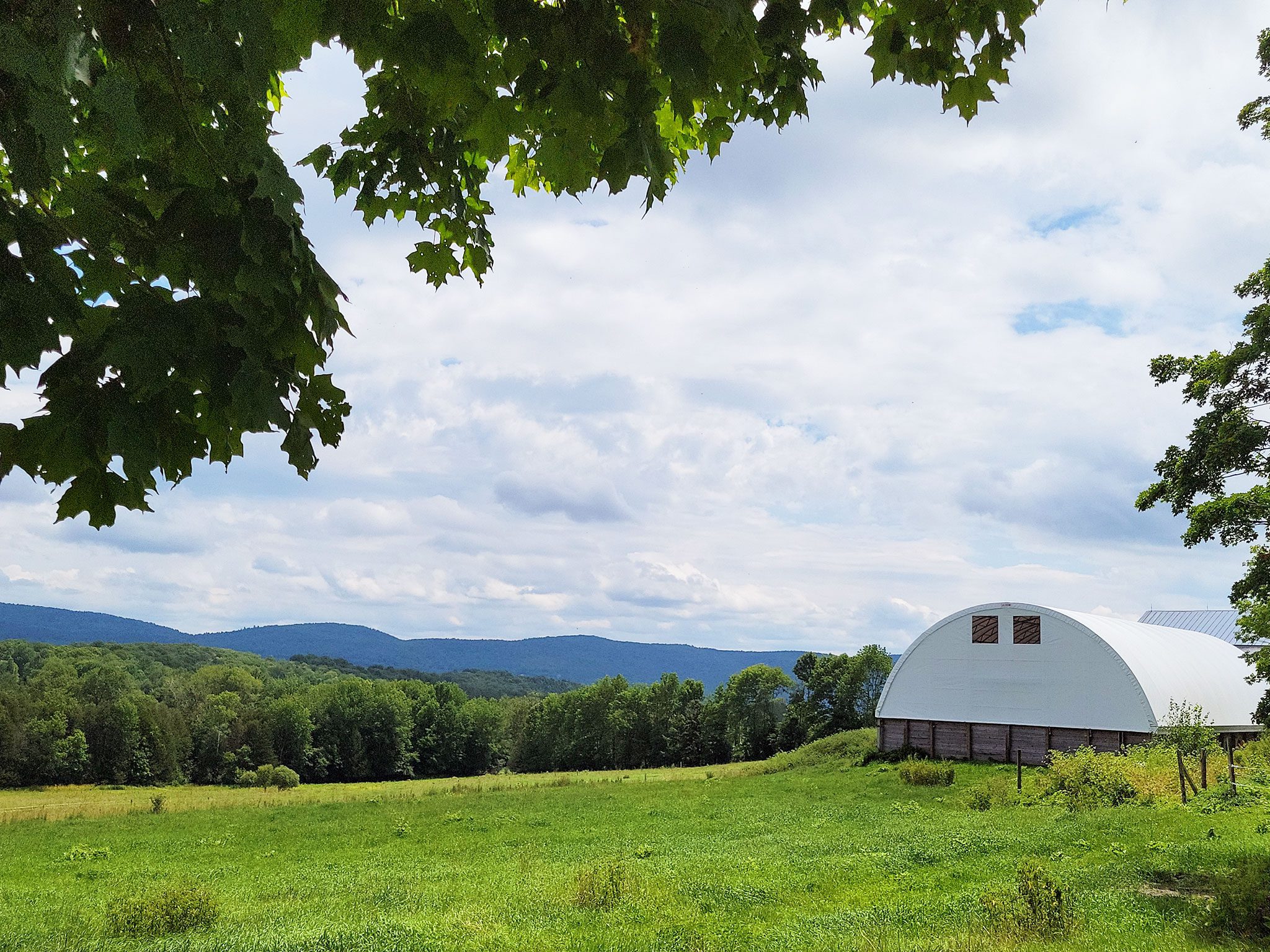 Wild Earth Farm is at home in Randolph Vermont