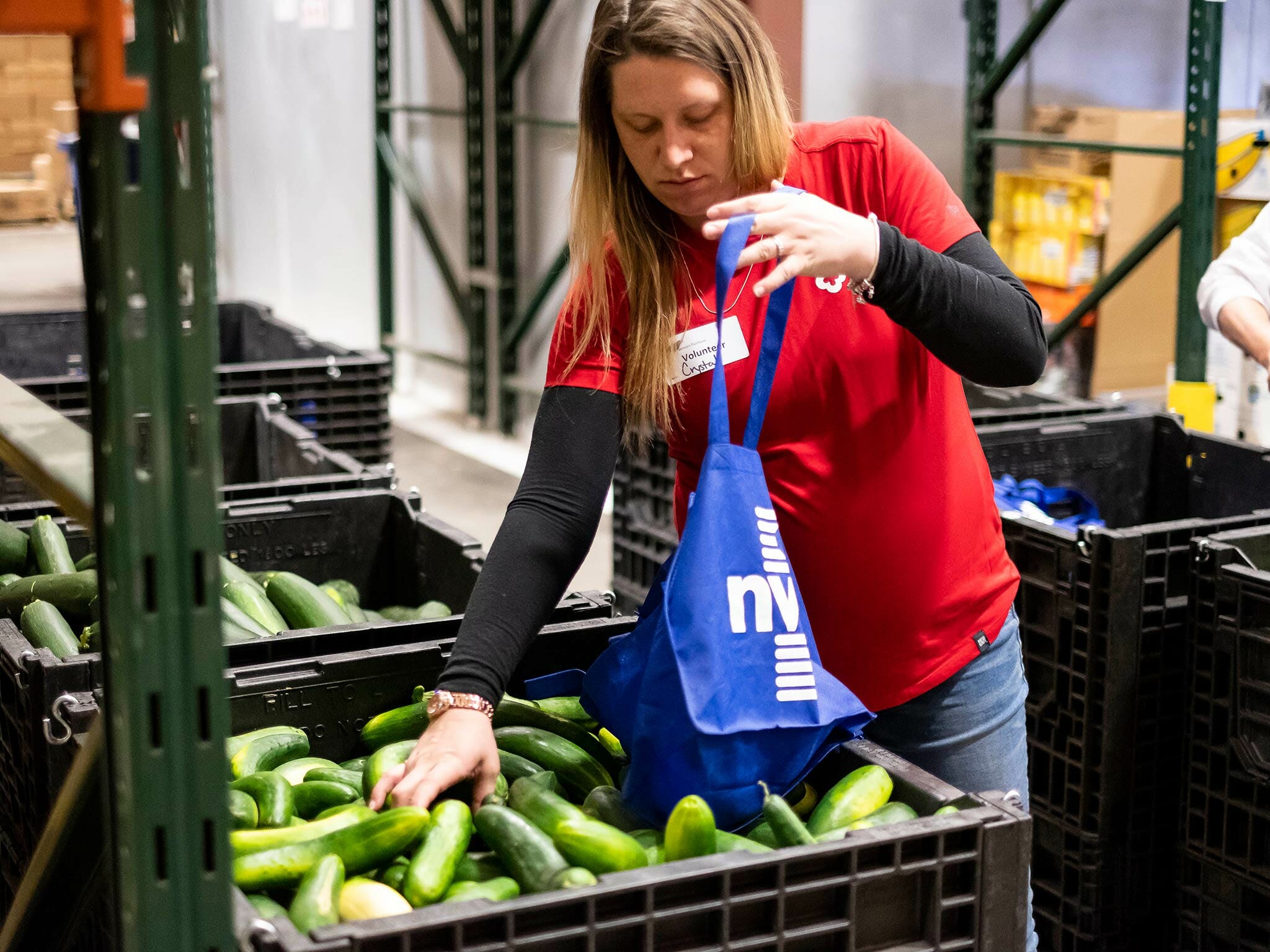 Farm fresh food for all - Growing affordable local food in Vermont