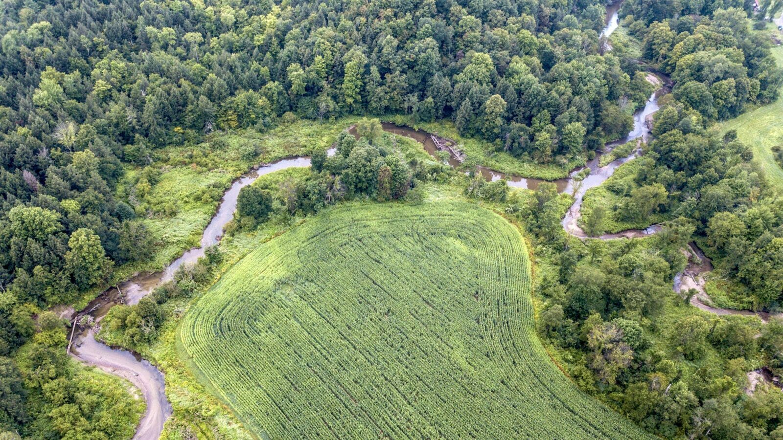 Farms in flux - Vermont Land Trust