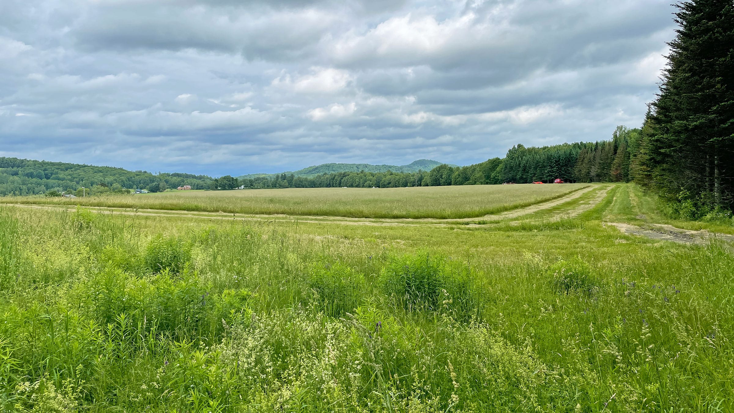 Conservation helps Sunset Lake Farm protect Hardwick land - Vermont ...