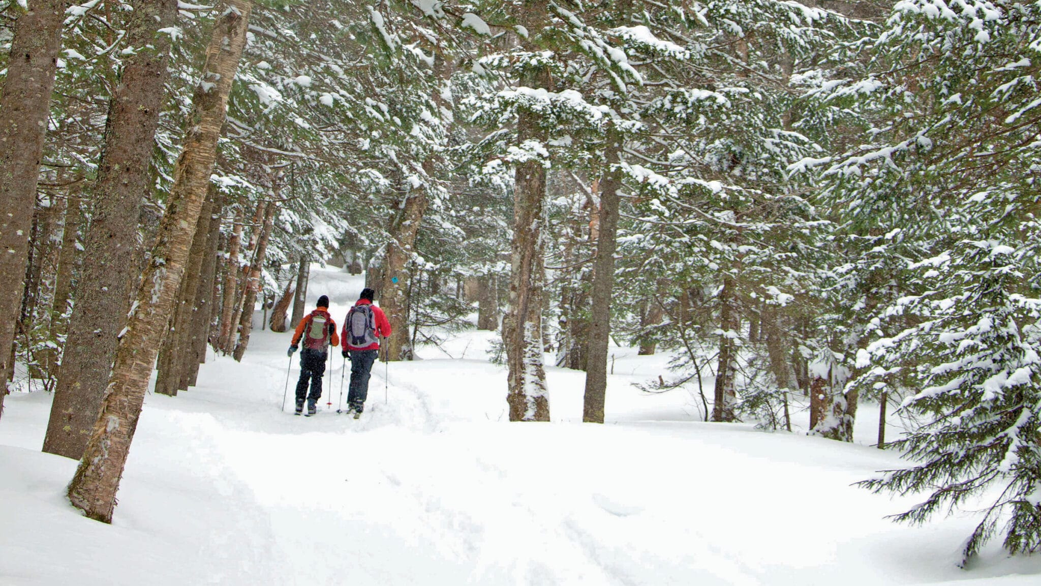Vermont Land Trust - Protecting the Vermont You Love