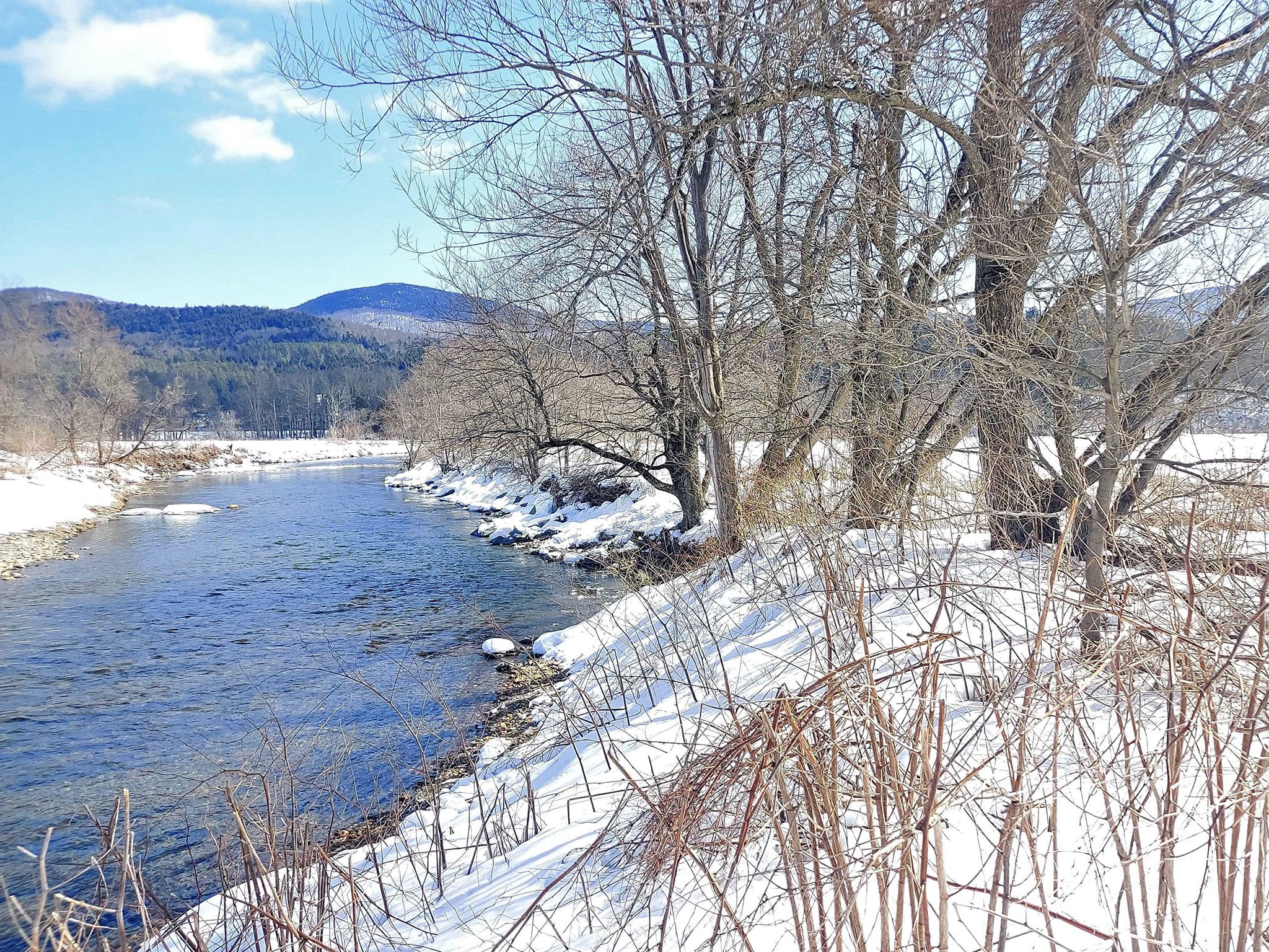 Mad River Valley's DeFreest Farm gains land in national first