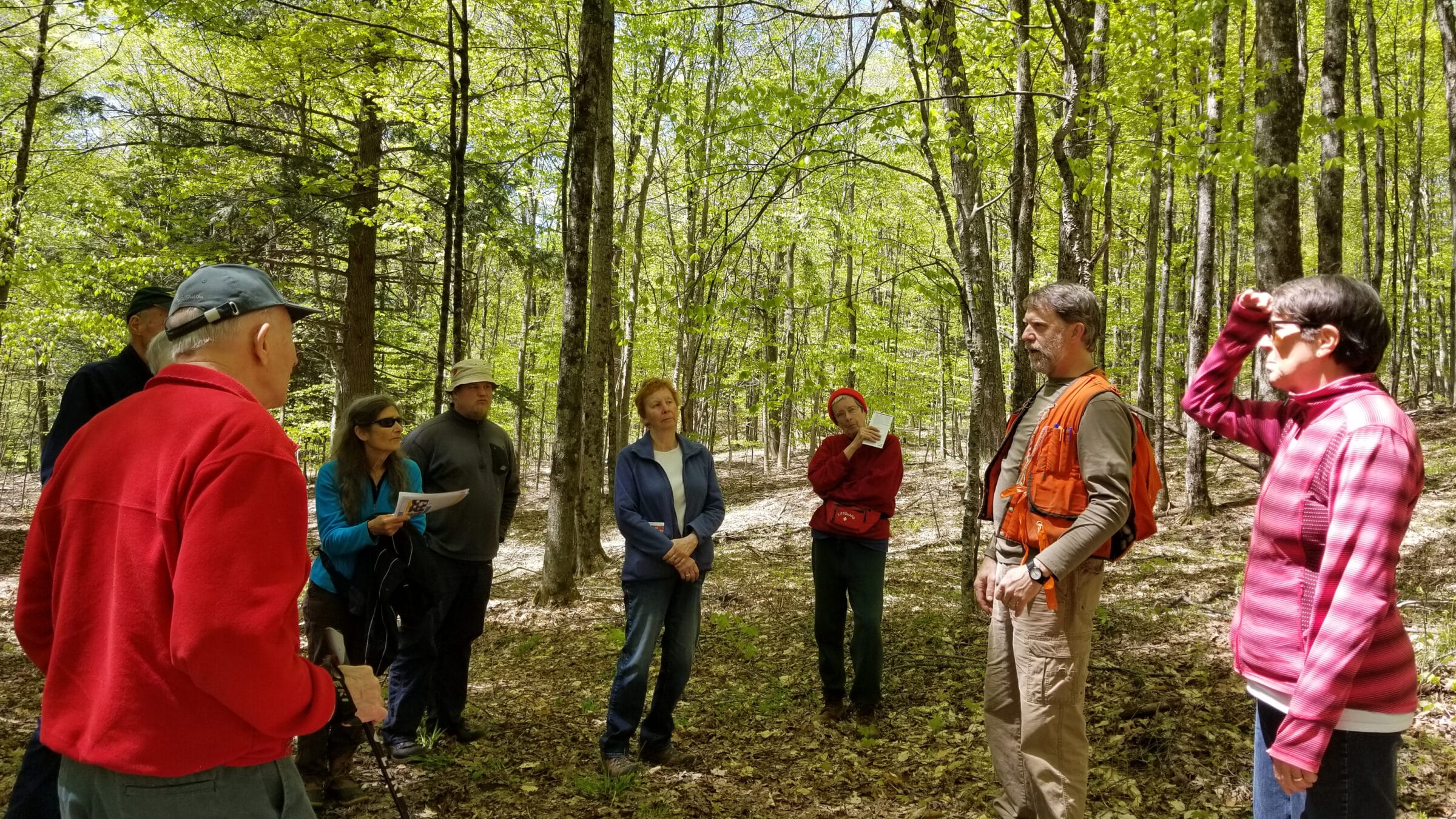 How to Help Find Lingering Ash for EAB Resistance Breeding - Woodstock ...
