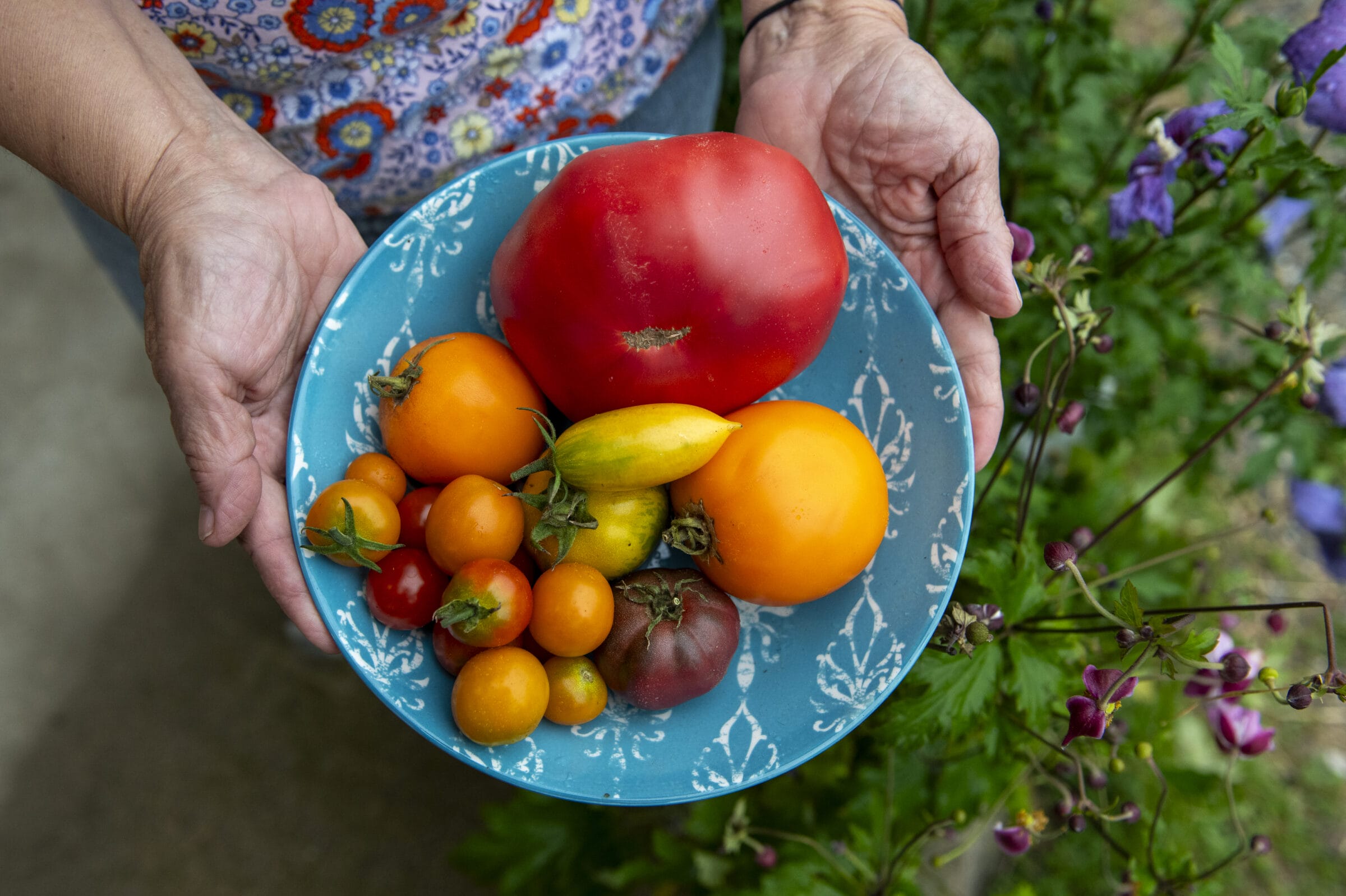 Conserved Vermont farms to visit - Vermont Land Trust