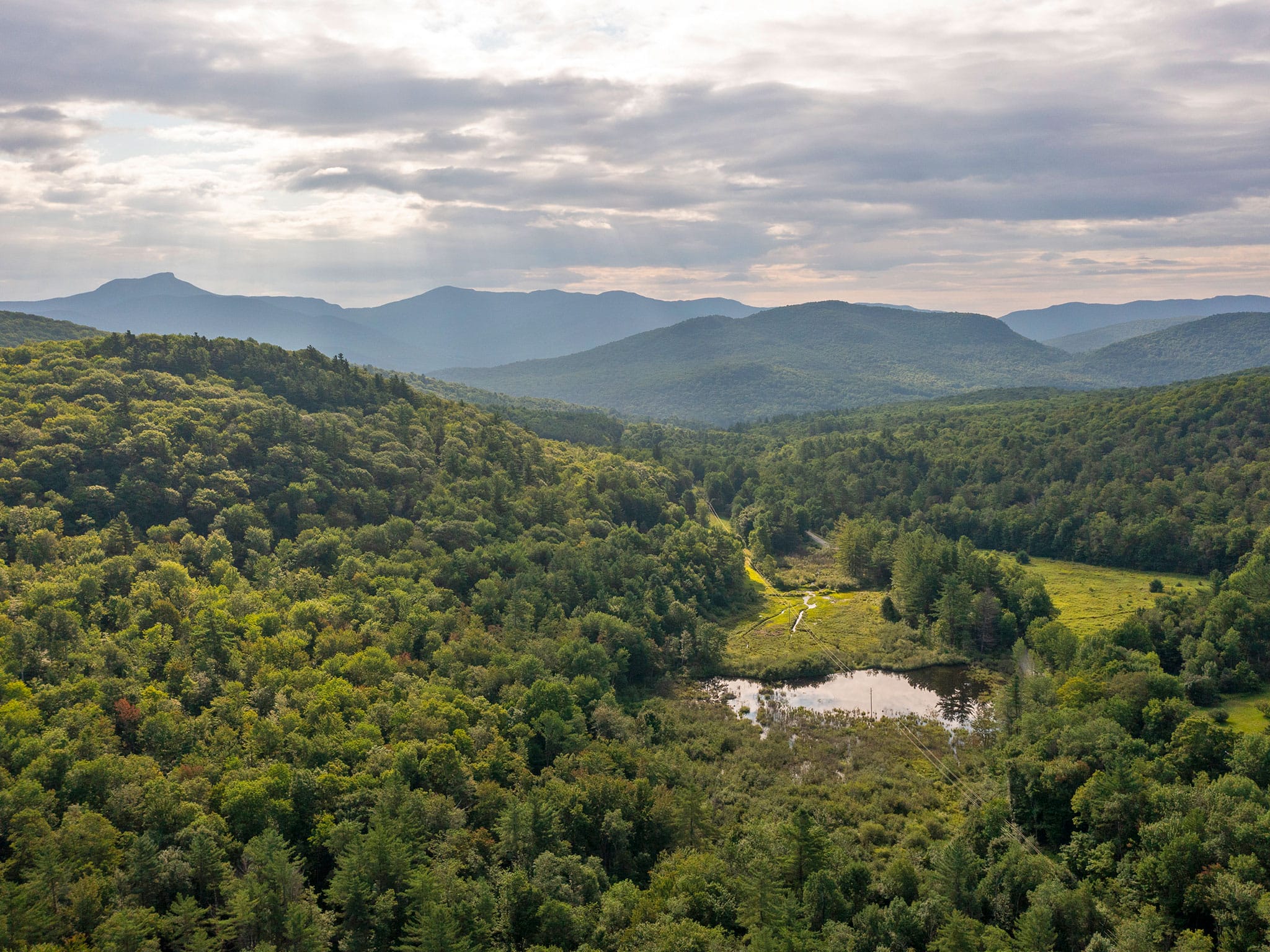 Hinesburg embraces forest health and recreation at its town forest
