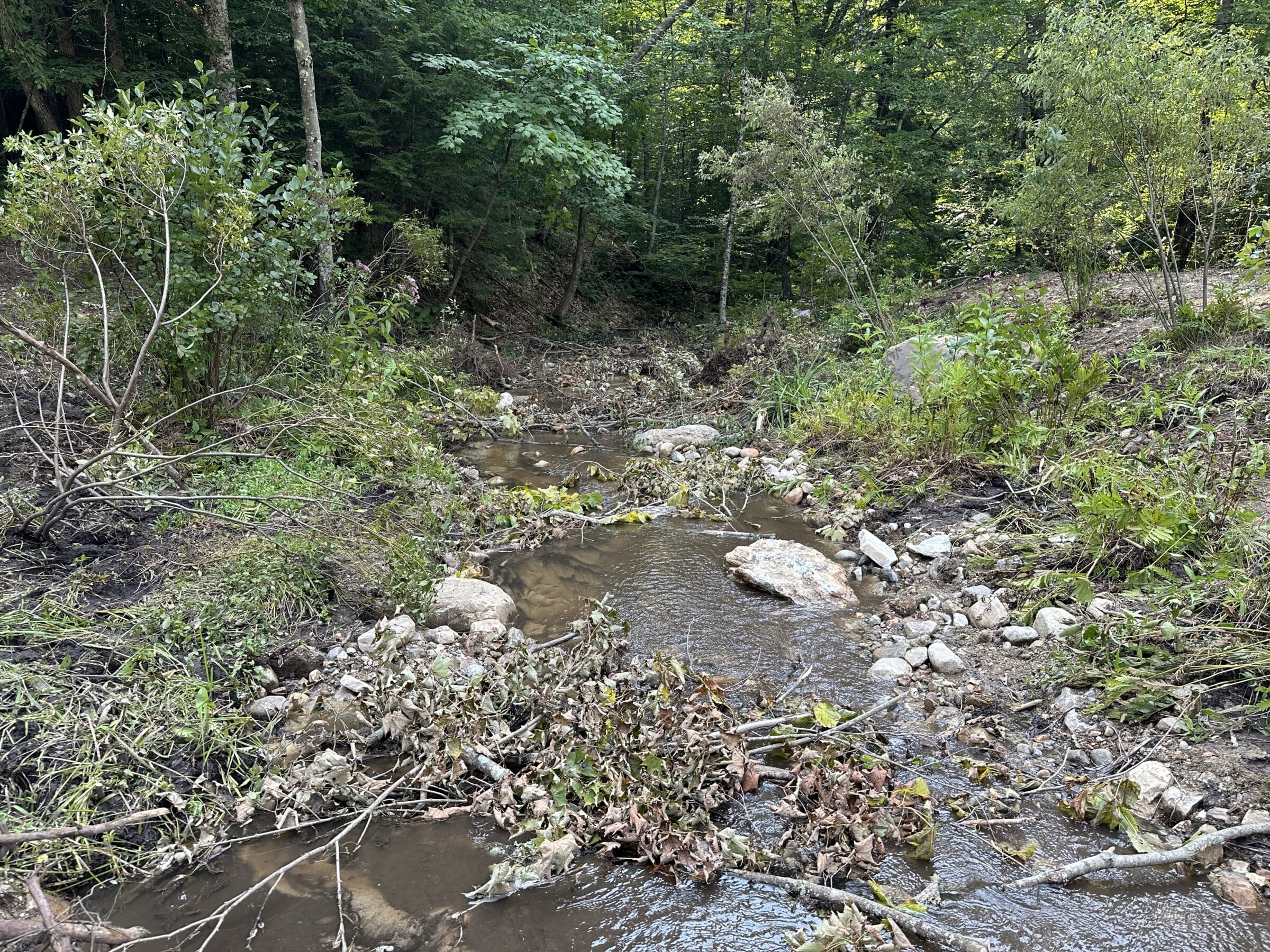 Improving flood resilience through small dam removal - Vermont Land Trust
