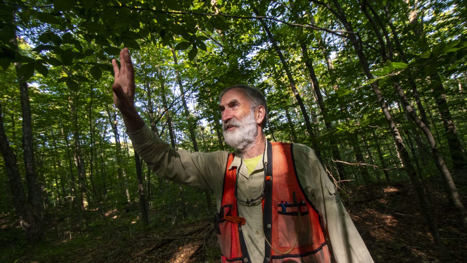 Vermont Land Trust - Protecting the Vermont You Love