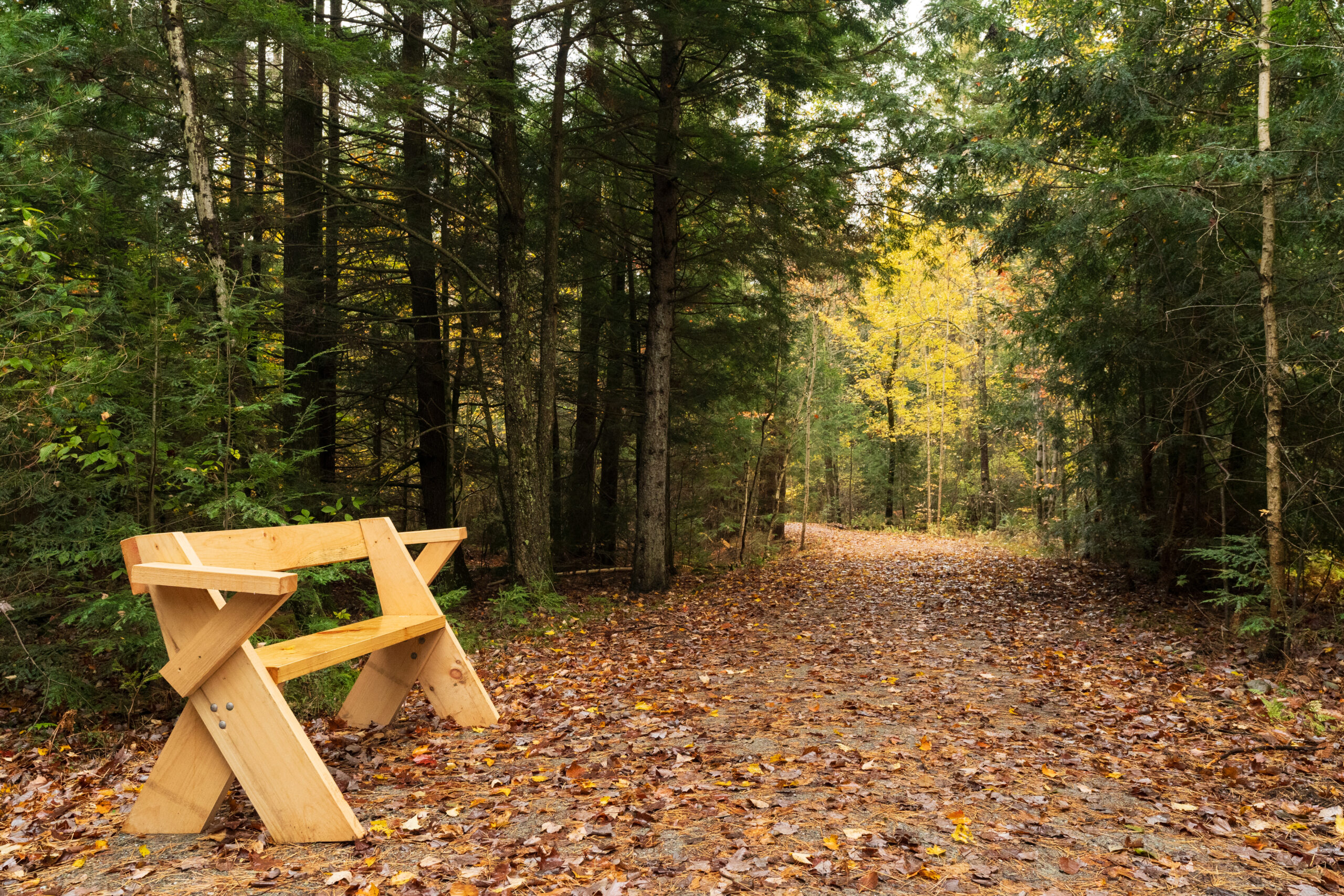 Easy Walking Trails: Explore Nature at Your Own Pace - Vermont Land Trust