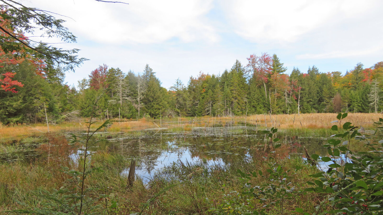 Exploring Merck Forest & Farmland Center in Rupert, Vermont - Vermont ...