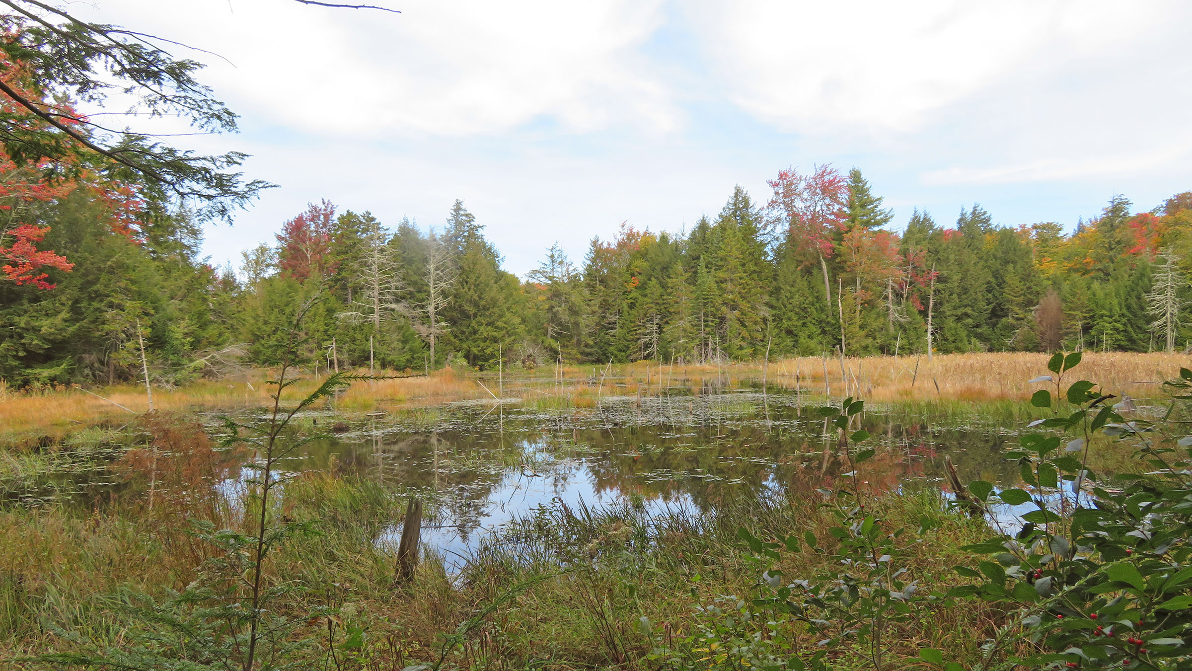Windmill Hill Ridgeline Reserve grows by nearly 100 acres - Vermont ...