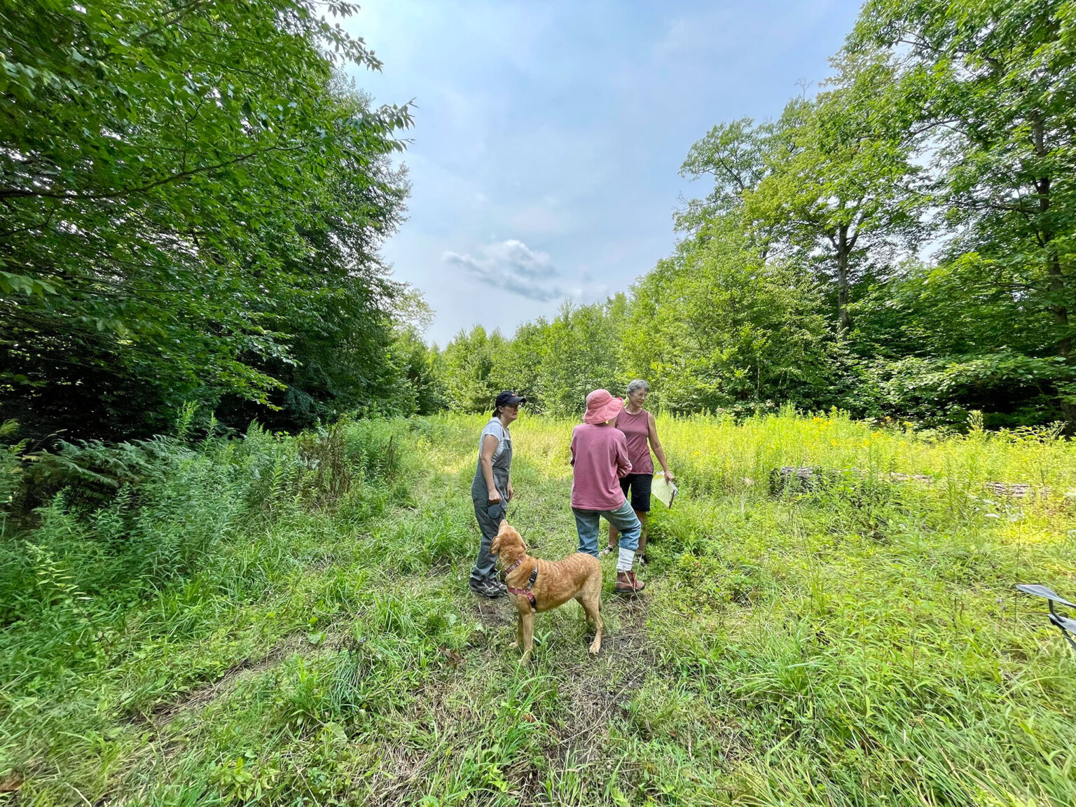 Windmill Hill Ridgeline Reserve grows by nearly 100 acres - Vermont ...