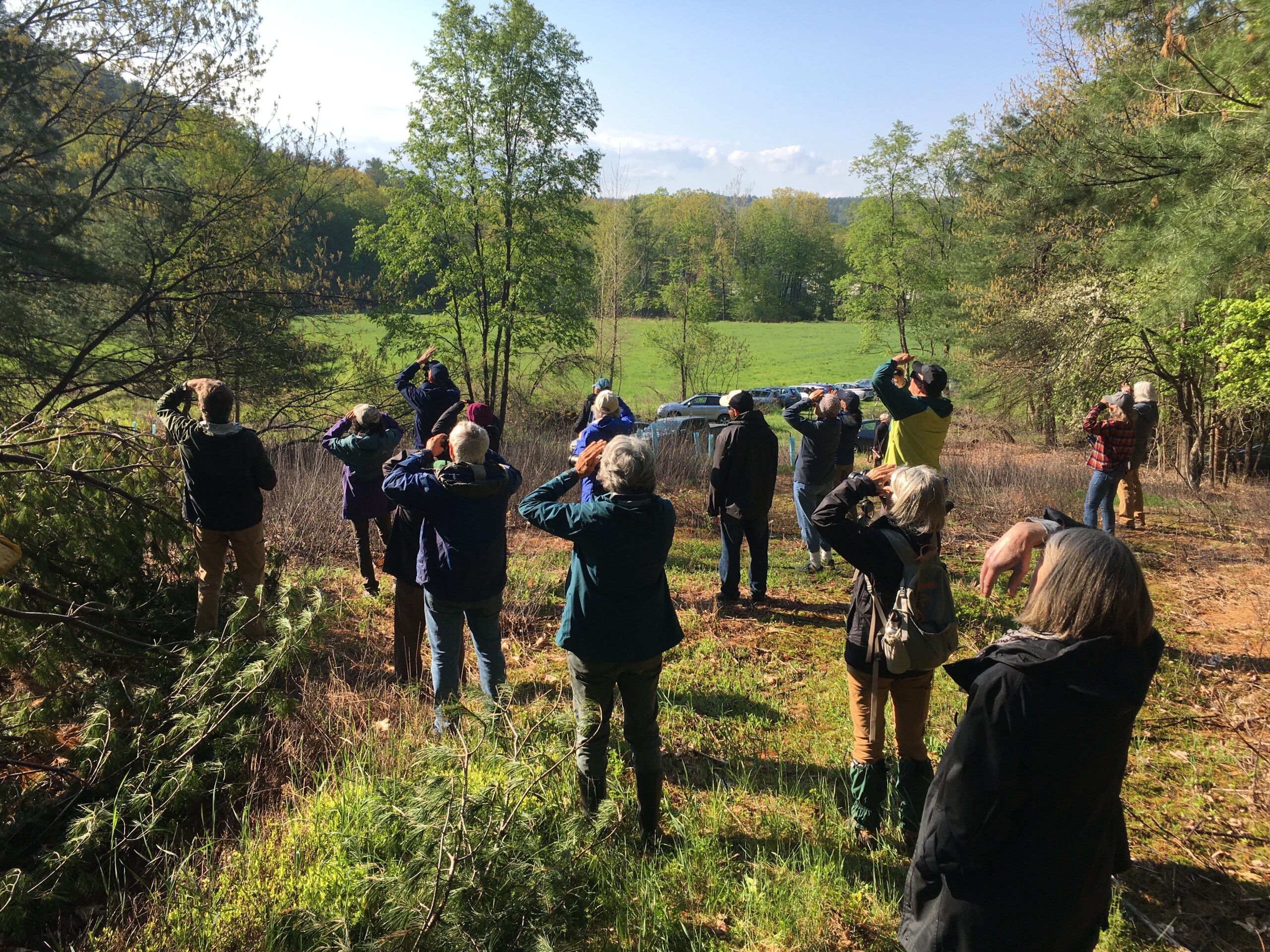 Spring Bird Walk at Whetstone Woods - Vermont Land Trust