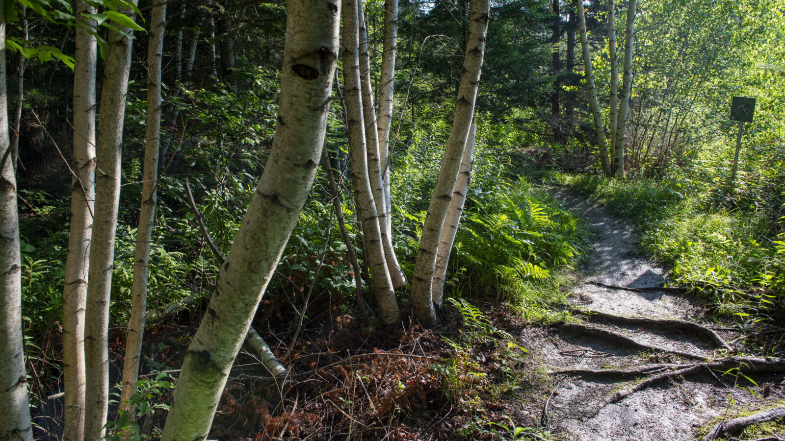 Exploring Merck Forest & Farmland Center in Rupert, Vermont - Vermont ...