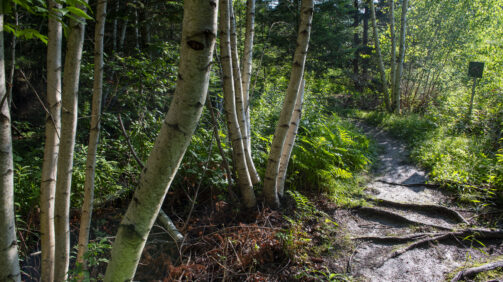 Exploring Merck Forest & Farmland Center in Rupert, Vermont - Vermont ...