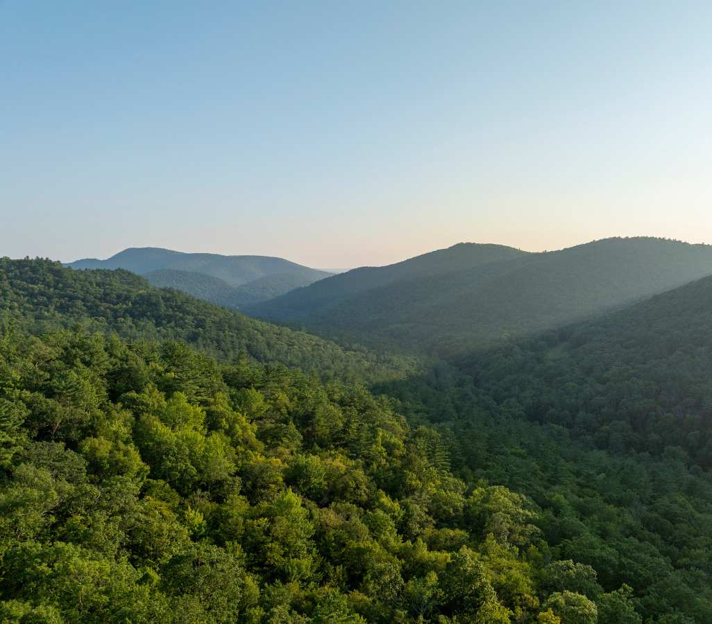 Reconnecting Vermont's landscape for wildlife - Vermont Land Trust