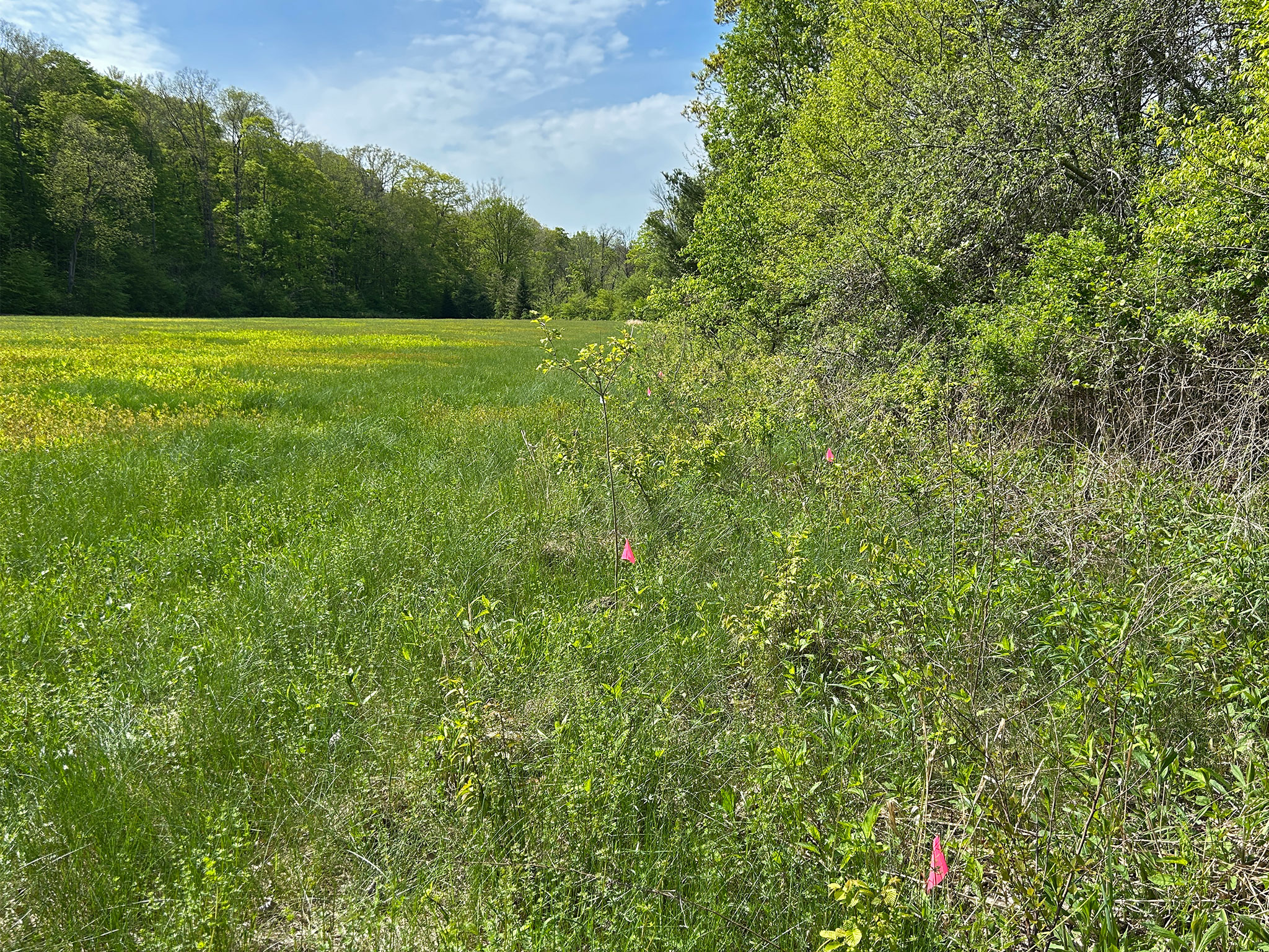 Forested tract and Batten Kill river corridor protected in Arlington ...