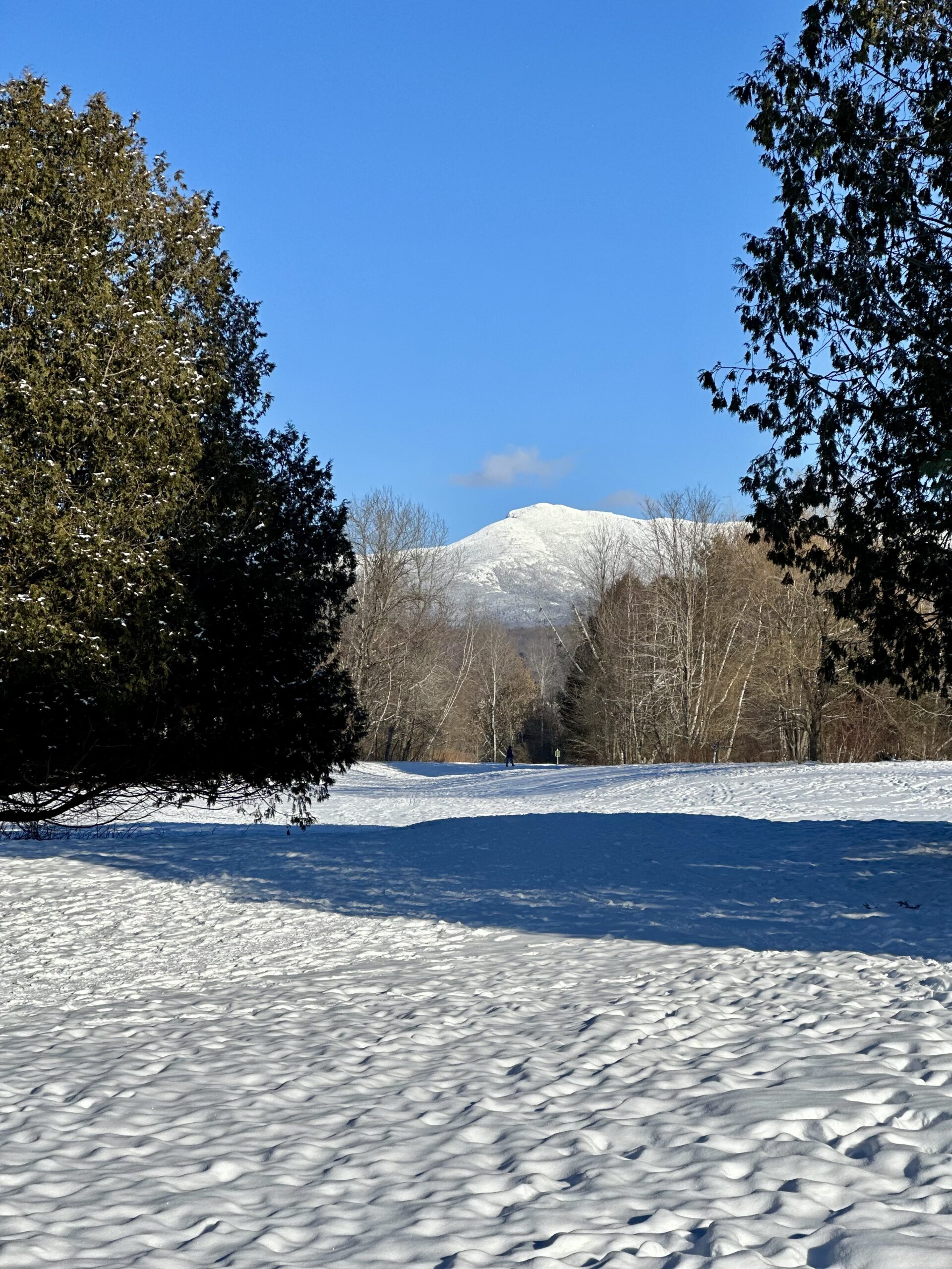 Sliding & Strolling at Mills Riverside Park - Vermont Land Trust