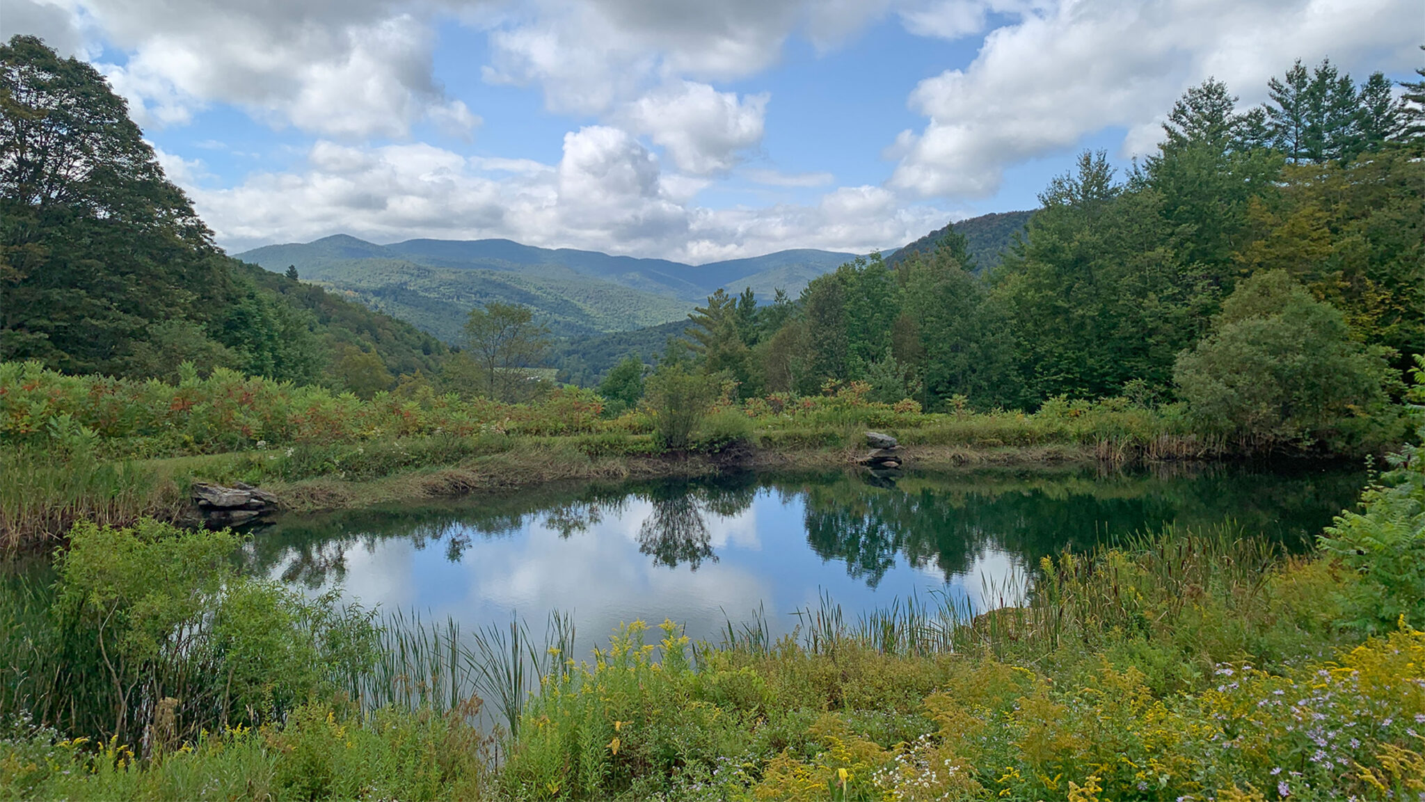 Exploring Merck Forest & Farmland Center in Rupert, Vermont - Vermont ...